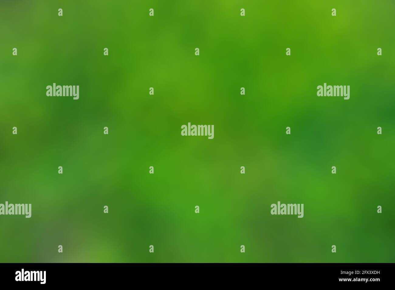 Abstract blur green color for background, blurred and defocused effect ...