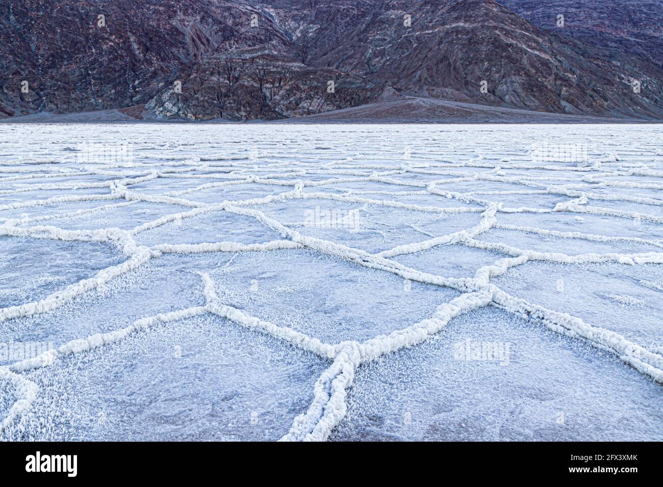 Salt deposits in the desert hi-res stock photography and images - Alamy