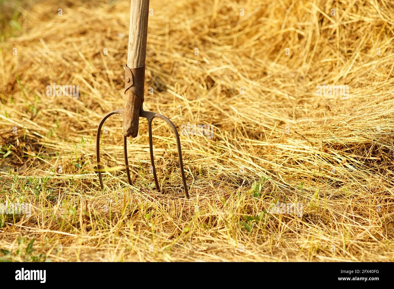 Old pitchfork hi-res stock photography and images - Alamy
