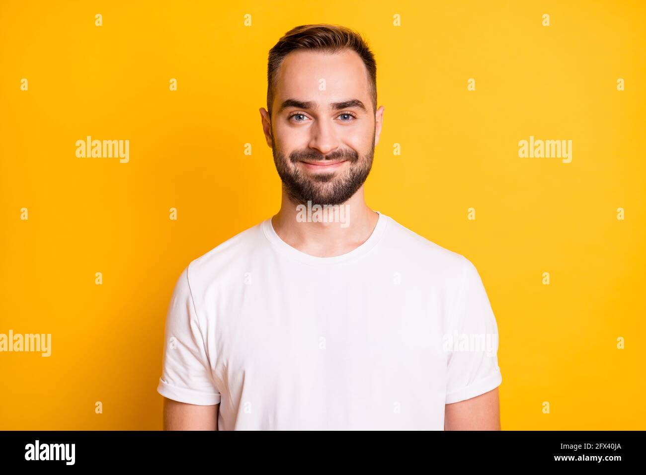 Portrait of attractive content cheerful bearded guy freelancer isolated ...