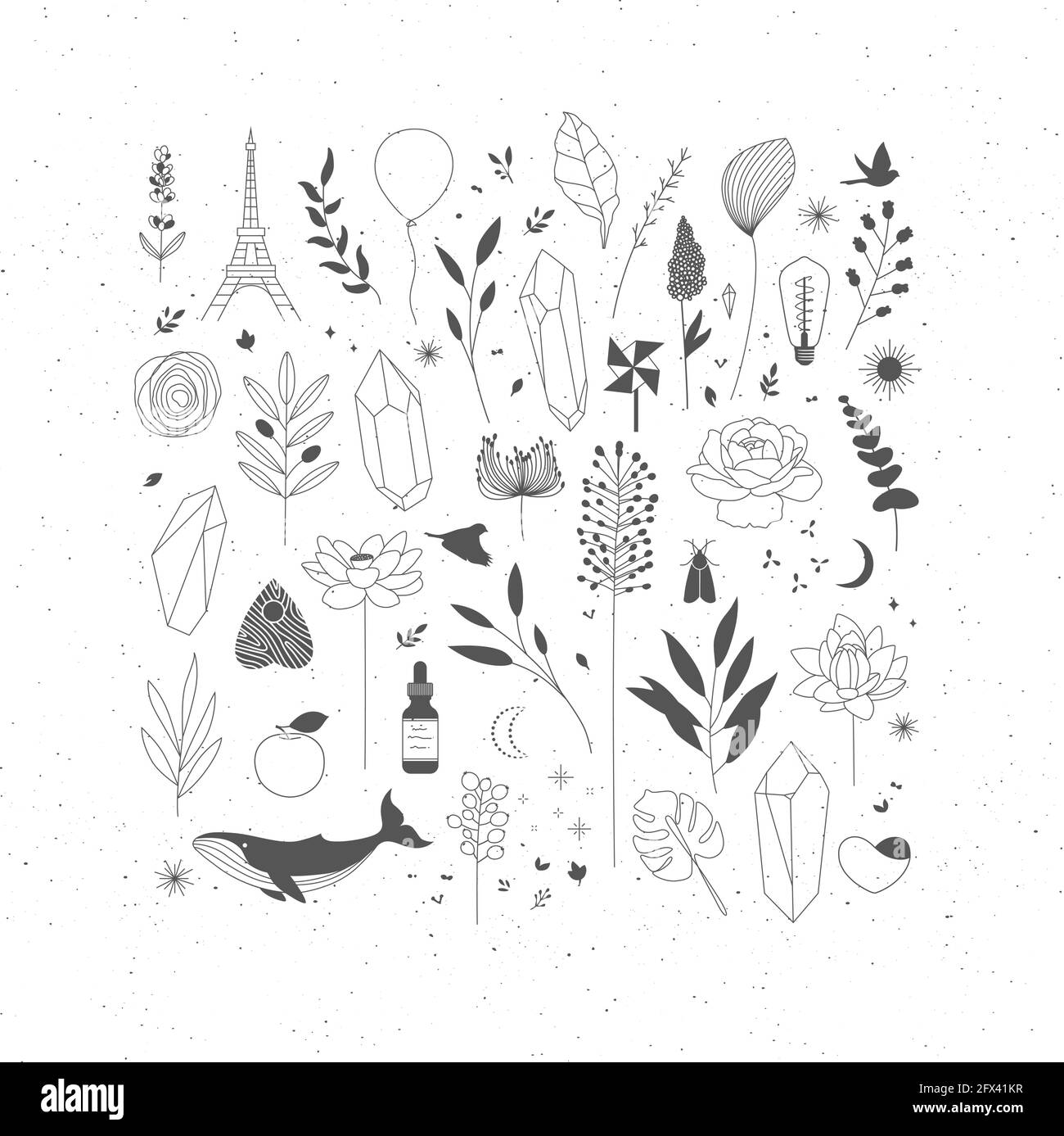 Set of different decorative elements with branches, flowers, animals ...