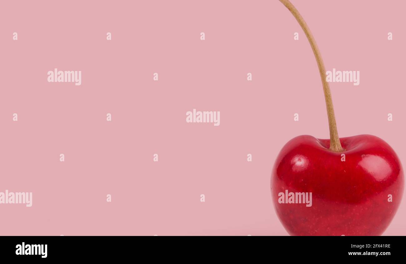 light red background with cherry, fresh and delicious cherry wallpaper ...