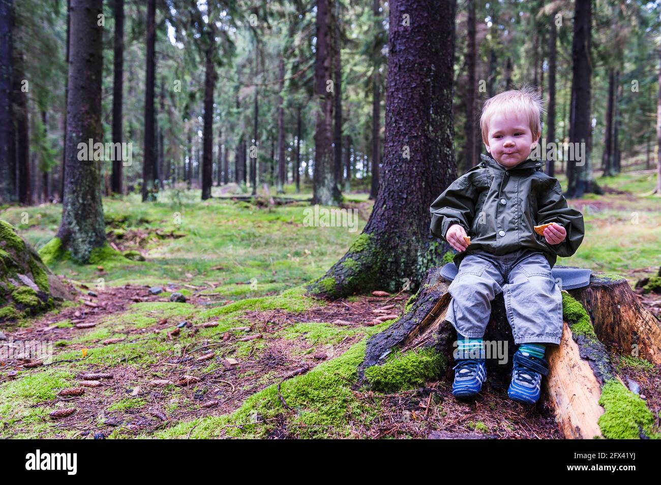 Boy child sitting on stump Stock Photo - Alamy