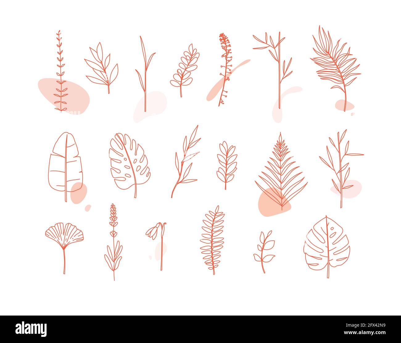 Natural forms in art Cut Out Stock Images & Pictures - Alamy
