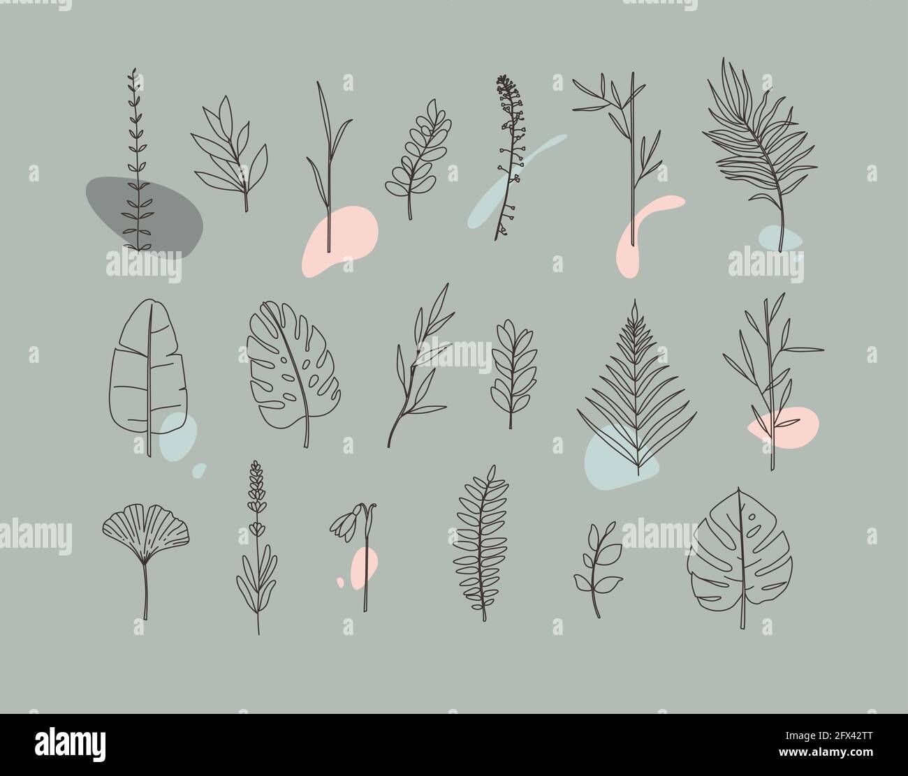 Art natural forms Stock Vector Images - Alamy