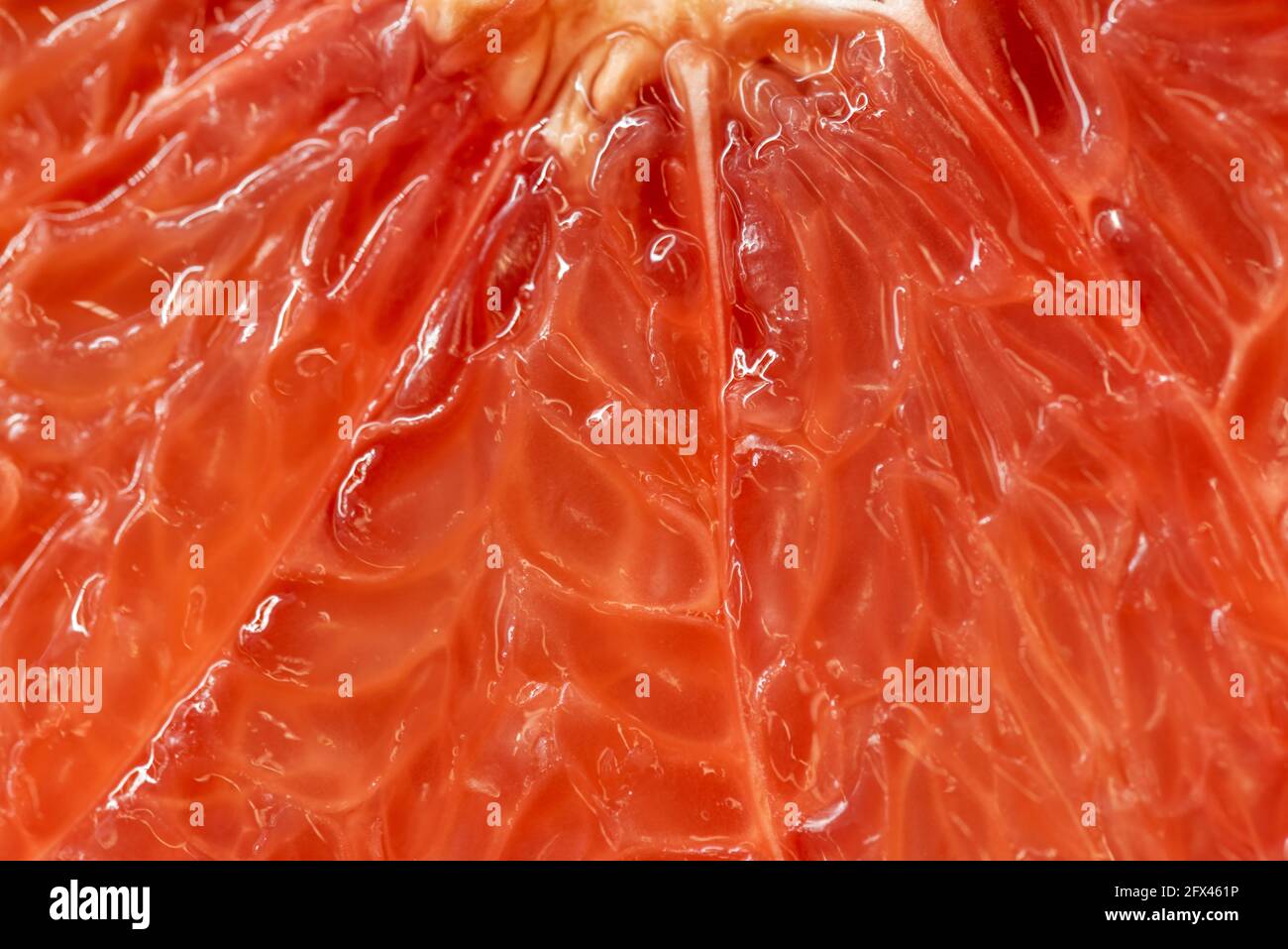 Grapefruit texture hi-res stock photography and images - Alamy
