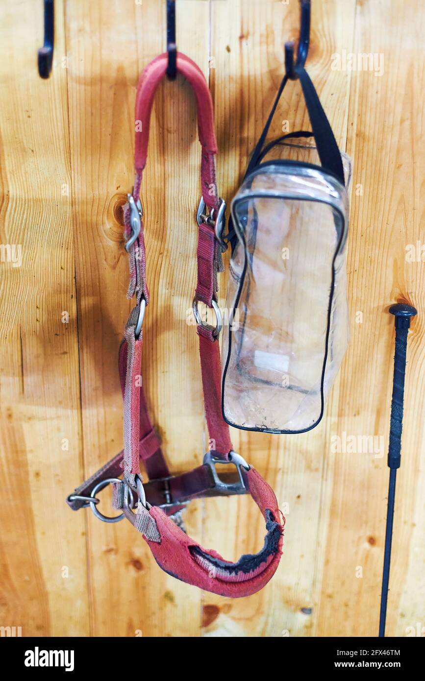 Bridle cloth hi-res stock photography and images - Alamy