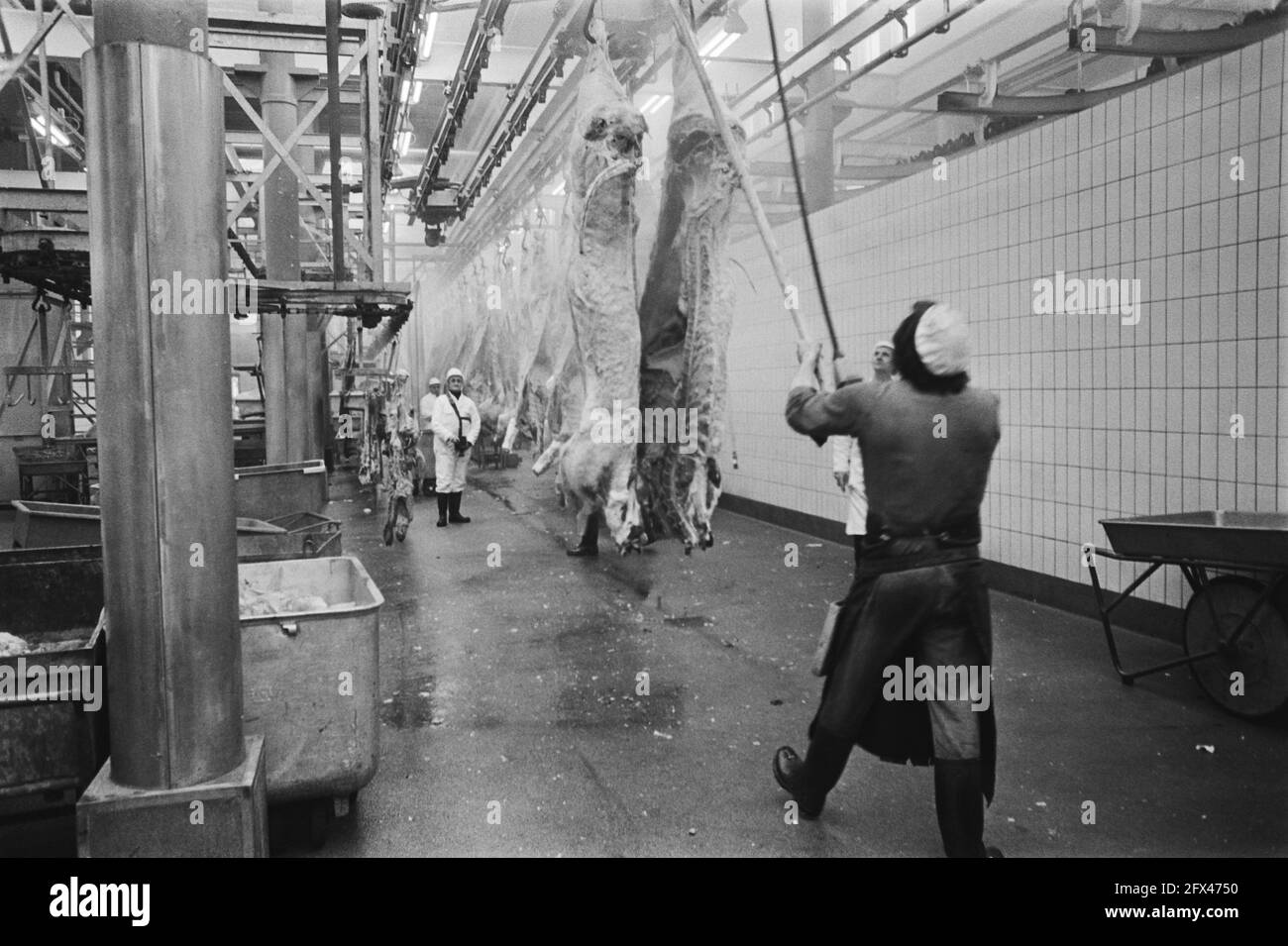 Abattoirs High Resolution Stock Photography and Images - Alamy