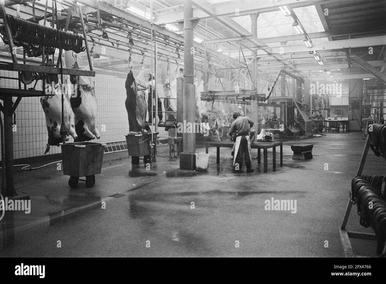 Abattoirs High Resolution Stock Photography and Images - Alamy