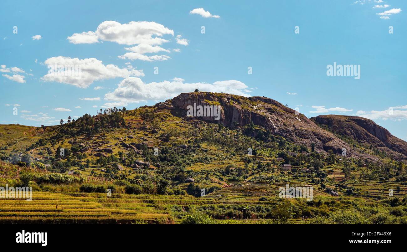 Madagascar rice terrace hi-res stock photography and images - Alamy