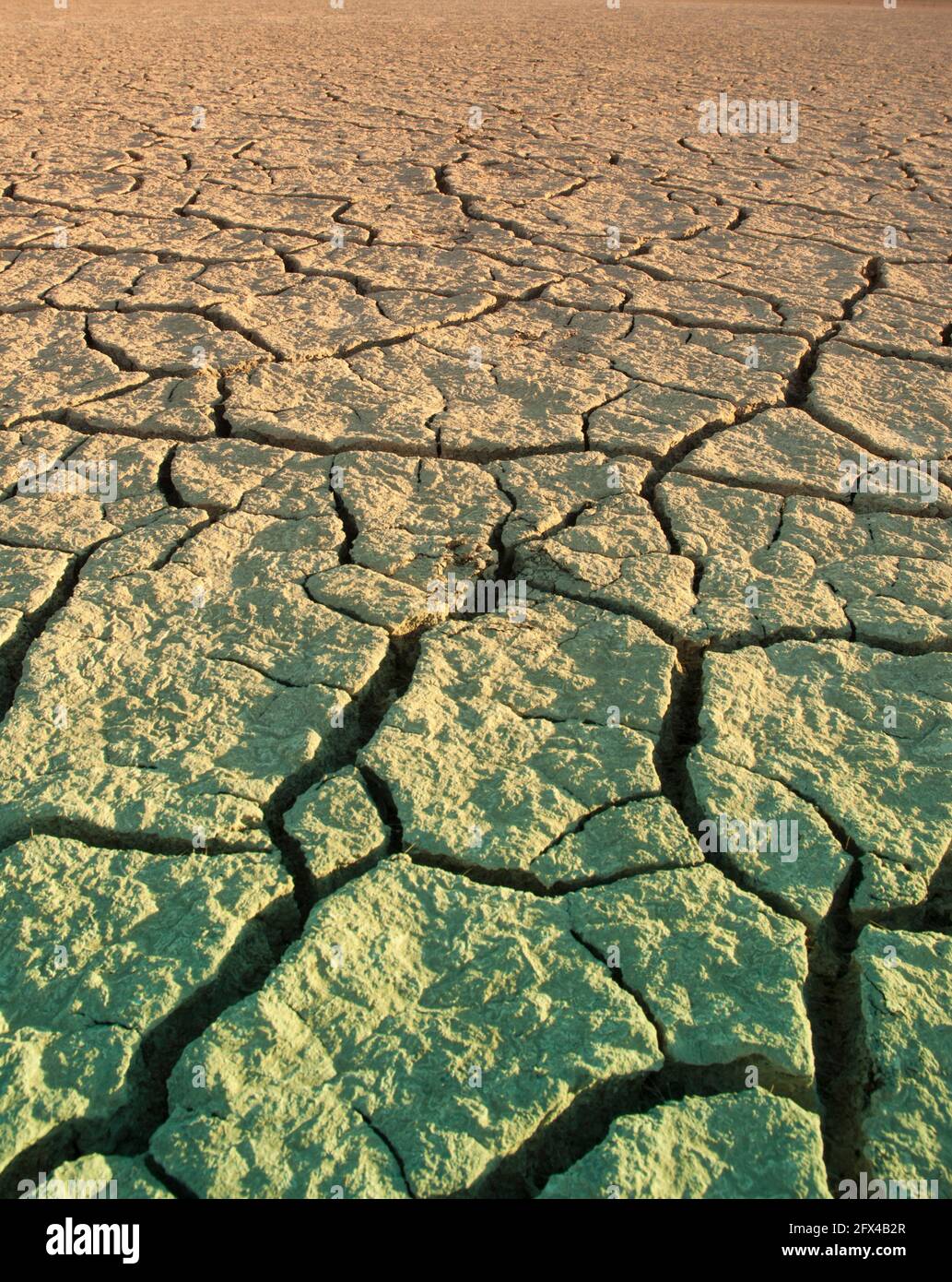 Broken desert land, drought meteorological phenomenon, Patagonia ...