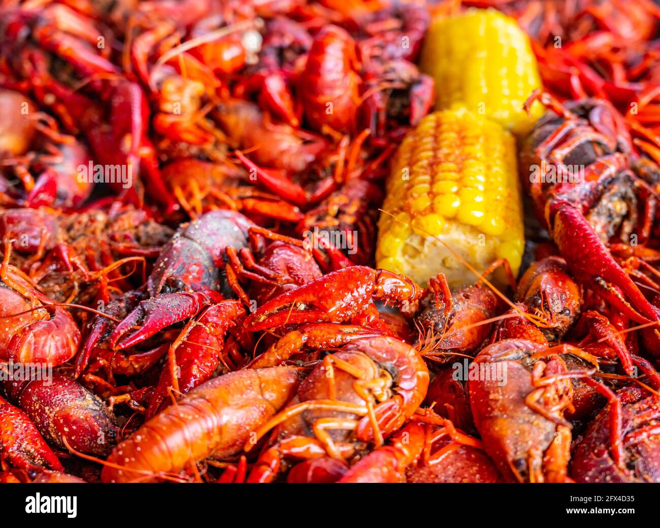 Boiled Crawfish and Yellow Corn on the cob Stock Photo - Alamy