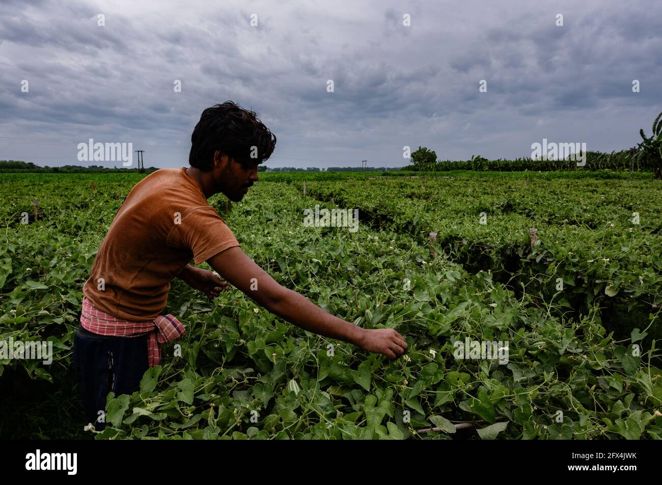 Tropical Cyclone 'Yaas' is about to hit with heavy rains. The ...