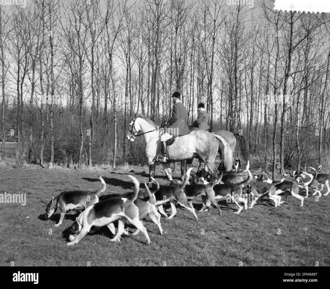 Slip hunts hi-res stock photography and images - Alamy