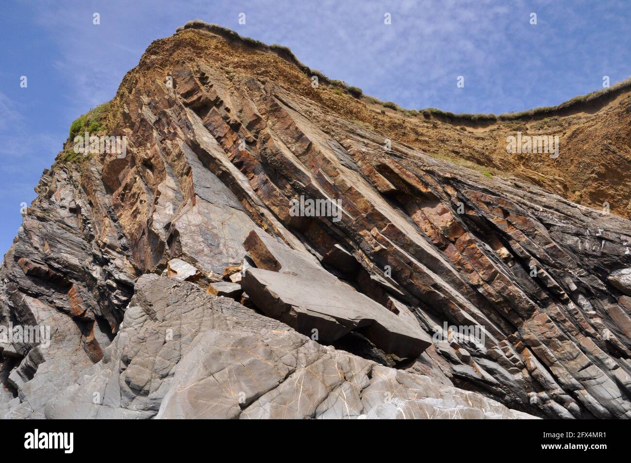 Vertically inclined multi coloured rock strata on coast of the Lizard ...