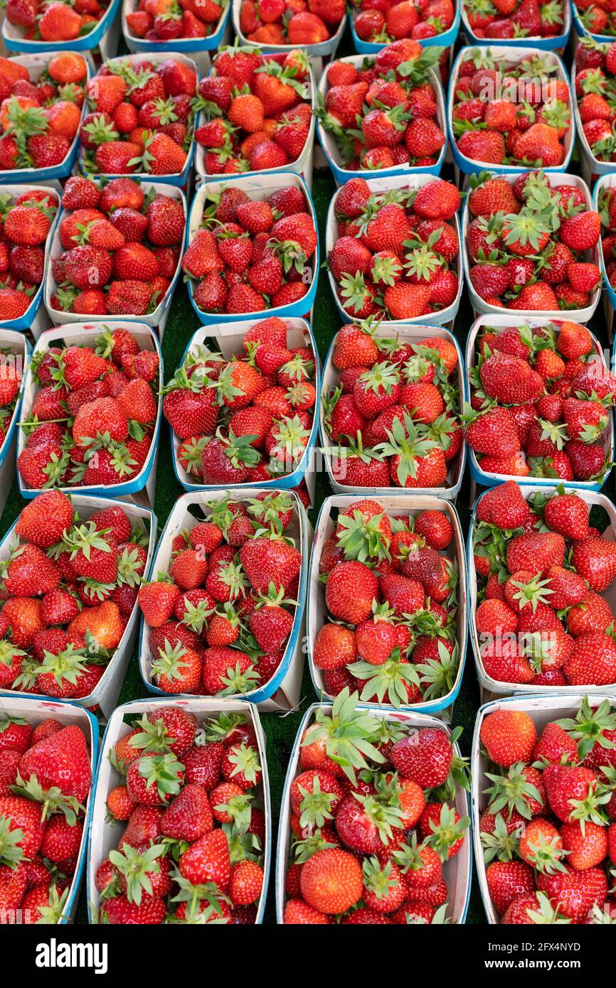 French turnip hi-res stock photography and images - Alamy