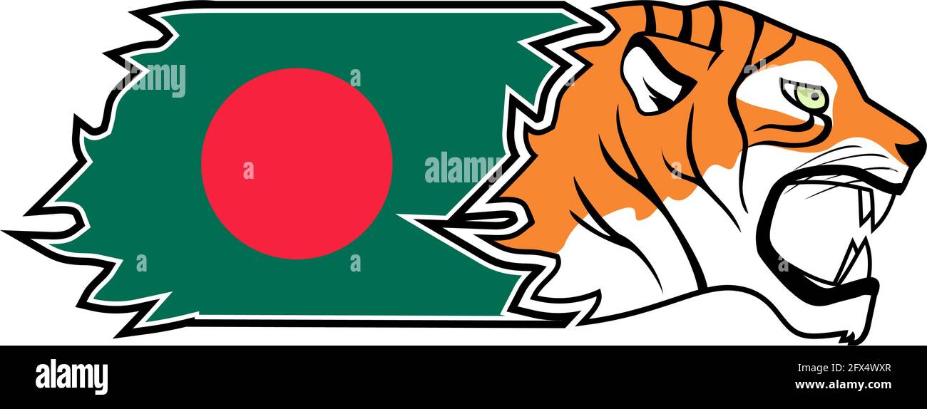 Tiger of Bangladesh Stock Vector Image & Art - Alamy