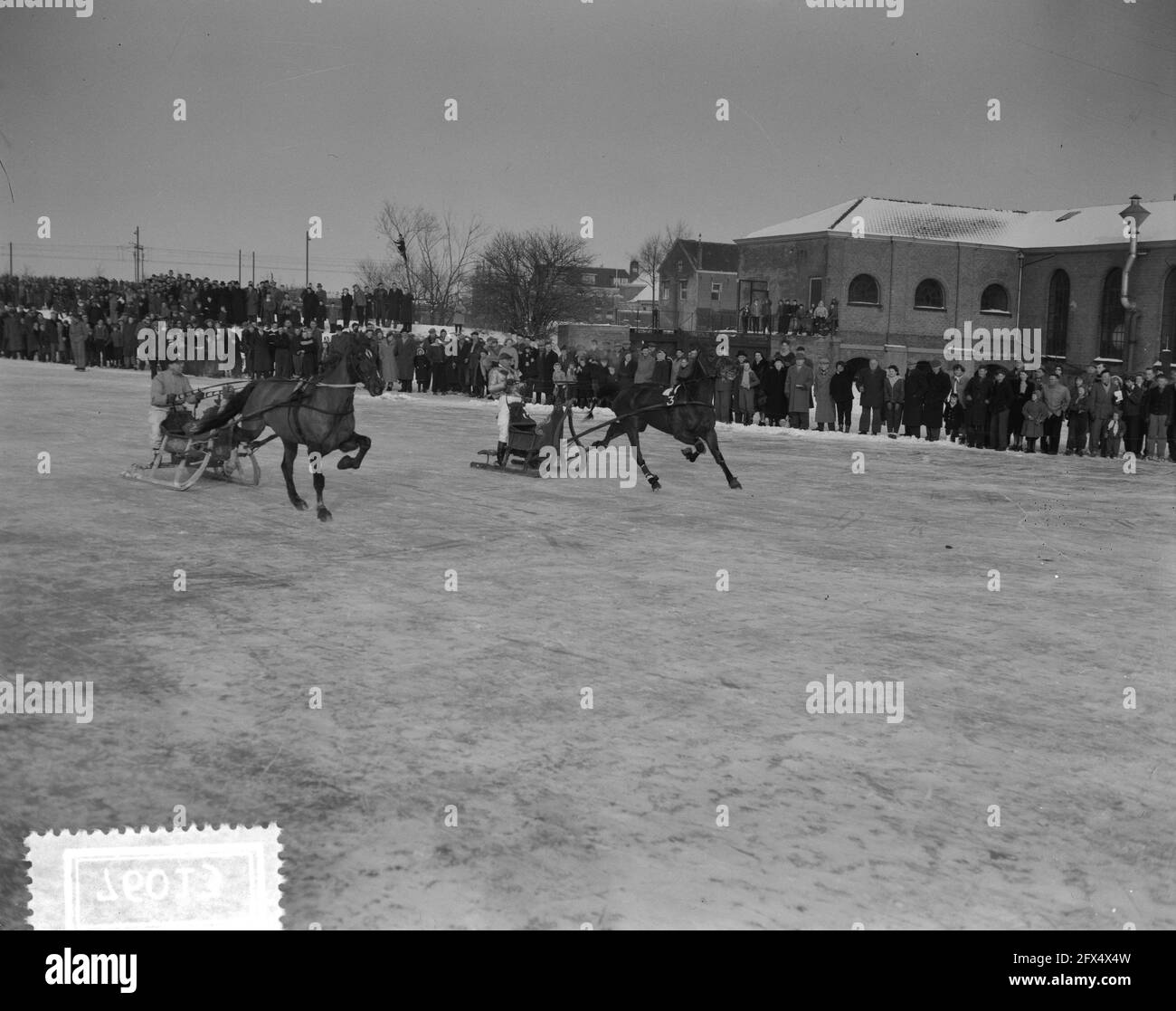 Racing by horse-drawn sleigh at Halfweg on the ice, February 18, 1956 ...