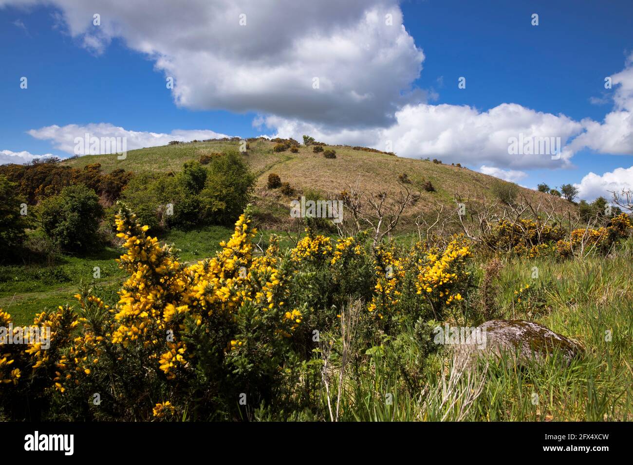 Carnmoney hi-res stock photography and images - Alamy