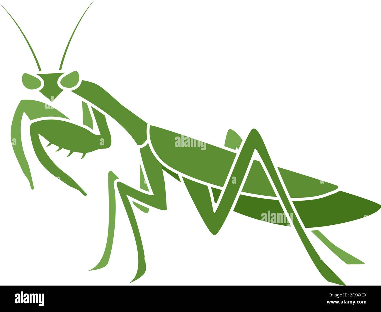 Mantis praying mantis Stock Vector Images - Alamy
