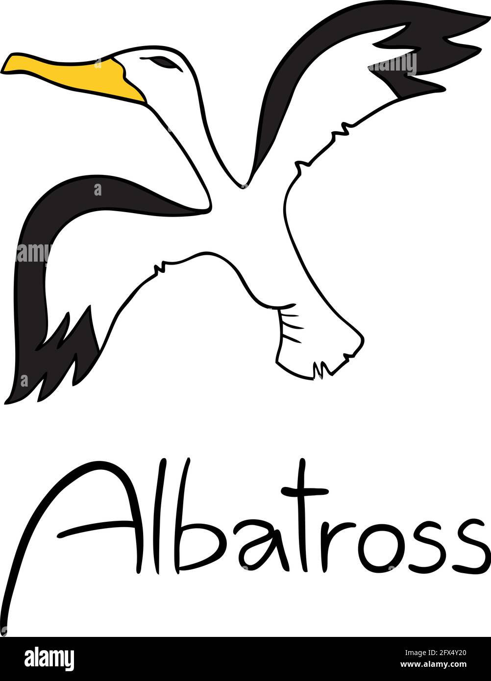 Illustration albatross hi-res stock photography and images - Alamy