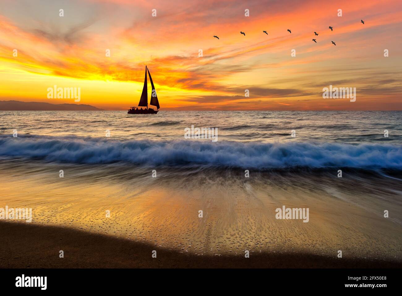 A Sailboat Is Sailing Along the Ocean As A Flock Of Birds Fly In The ...