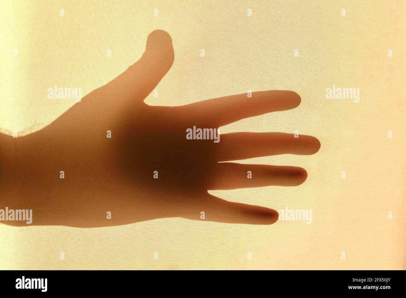 Hand back showing five fingers hi-res stock photography and images - Alamy