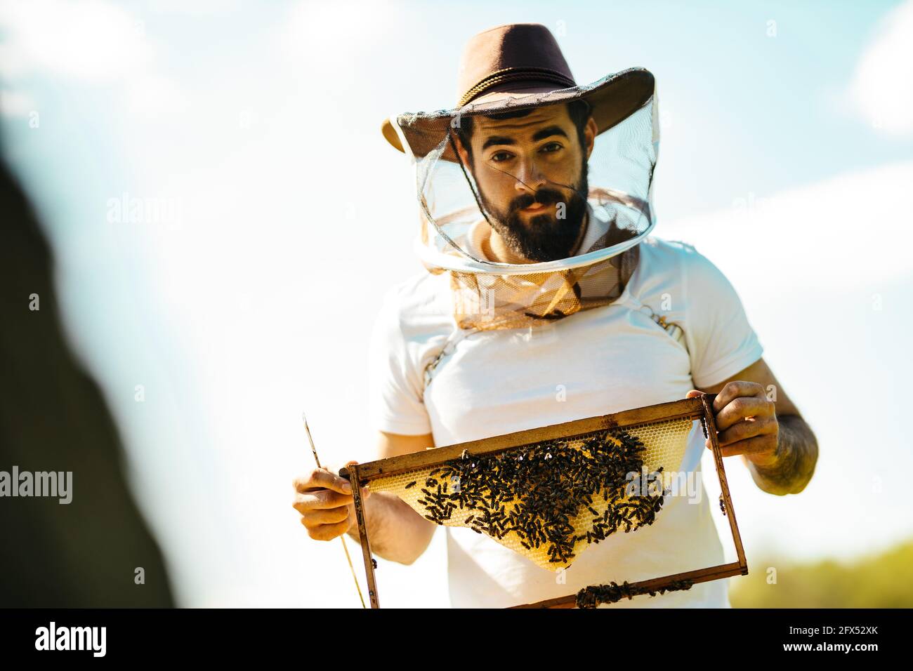 Portrait of a beard beekeeper with protective cowboy hat holding bees ...