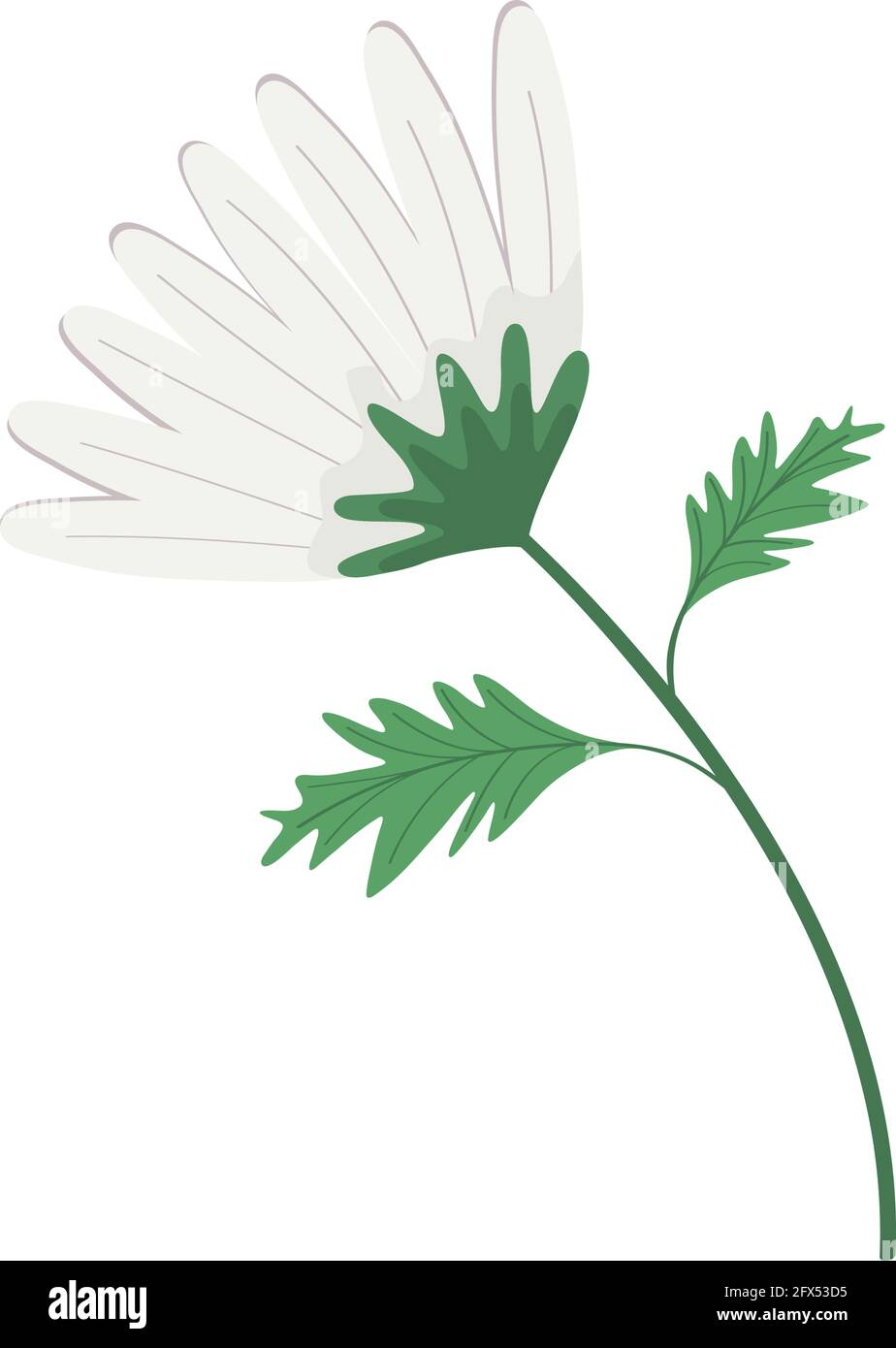 cute daisy flower white Stock Vector Image & Art - Alamy
