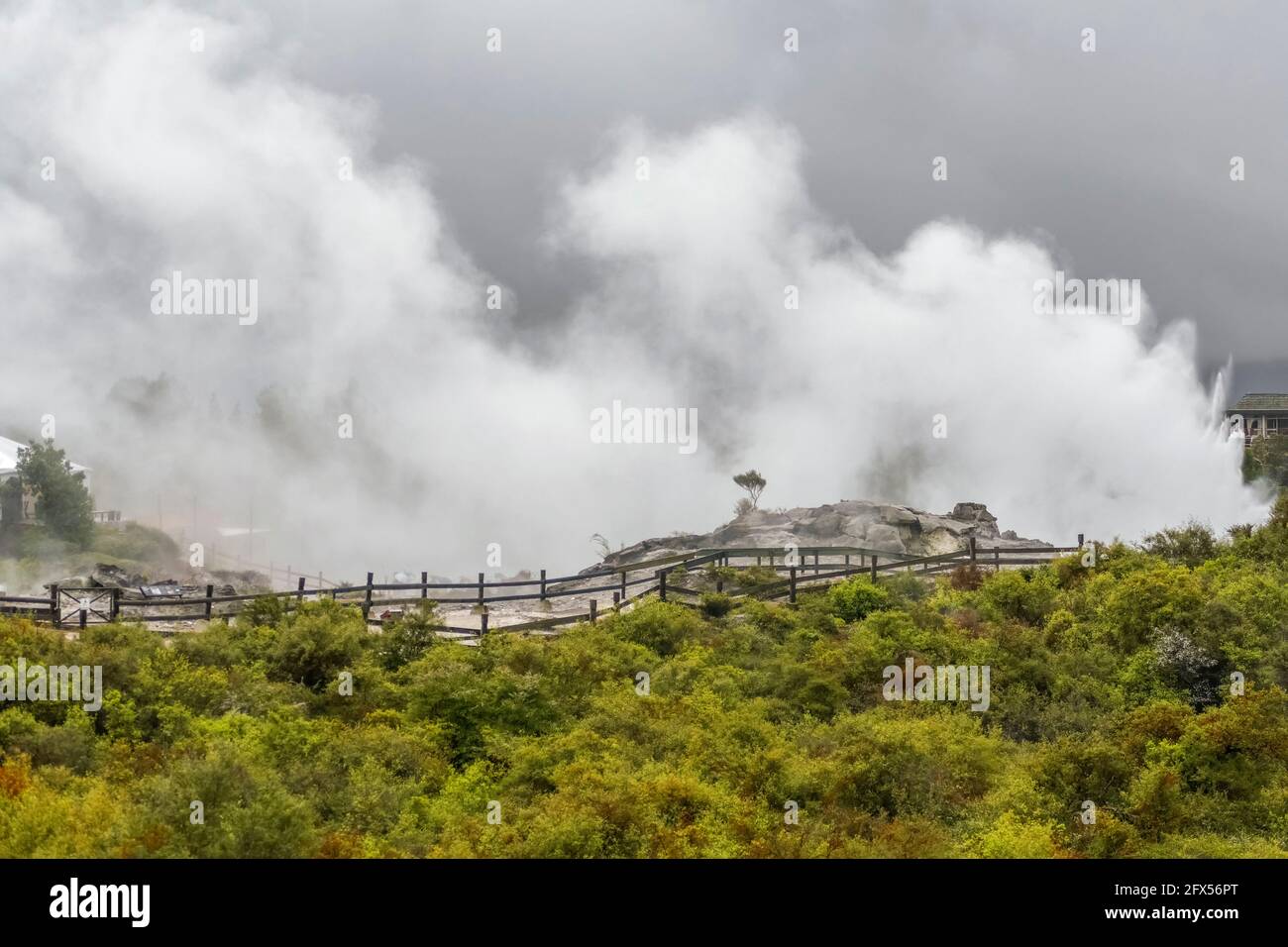 Geothermal activity around rotorua hi-res stock photography and images ...