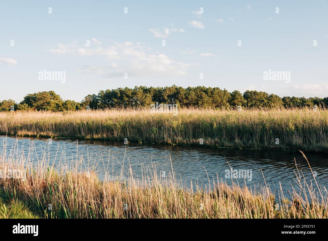 Loop island wetlands hi-res stock photography and images - Alamy