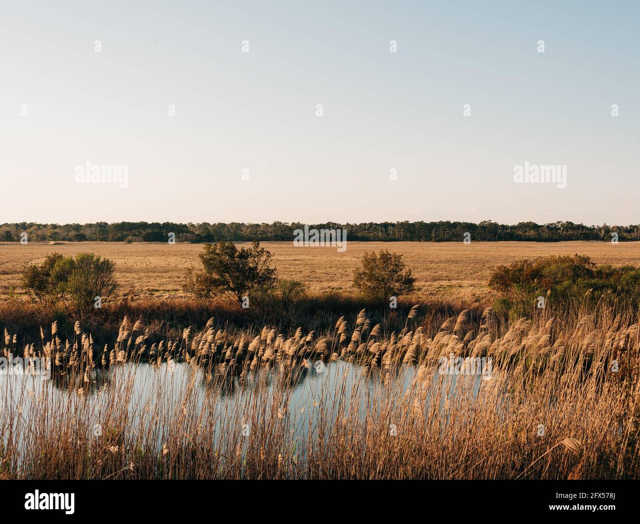 Loop island wetlands hi-res stock photography and images - Alamy