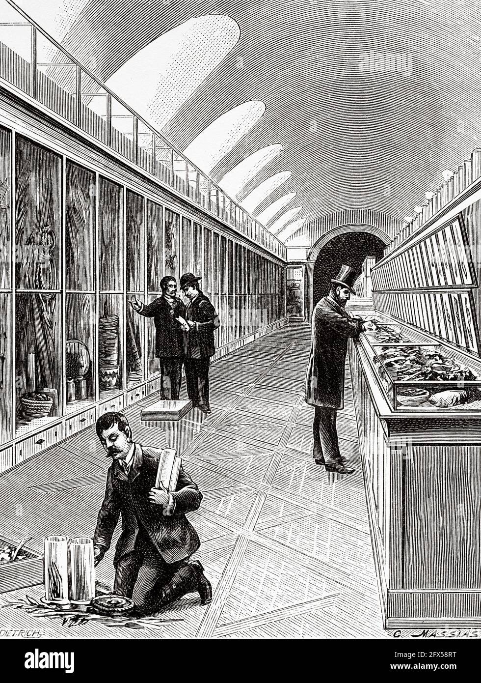 Gallery of plant products at the Museum of Natural History, Paris ...