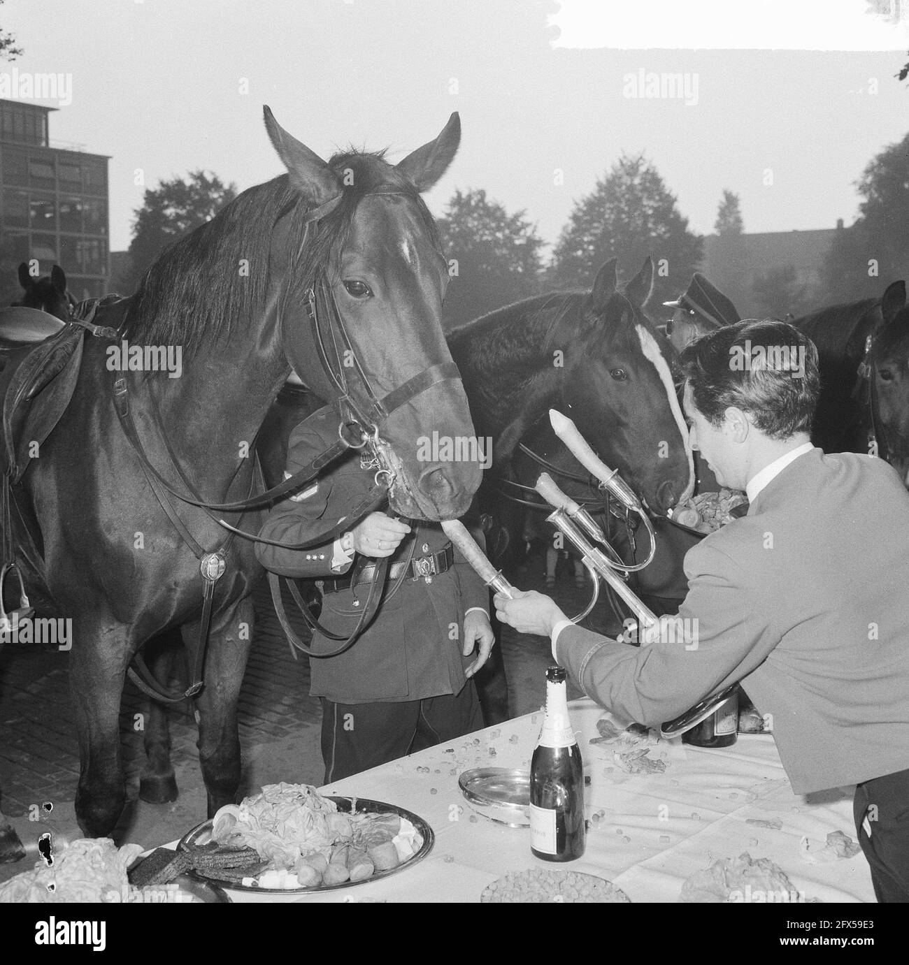 World Animal Day 1964, feeding the animals (abroad), 5 October 1964 ...