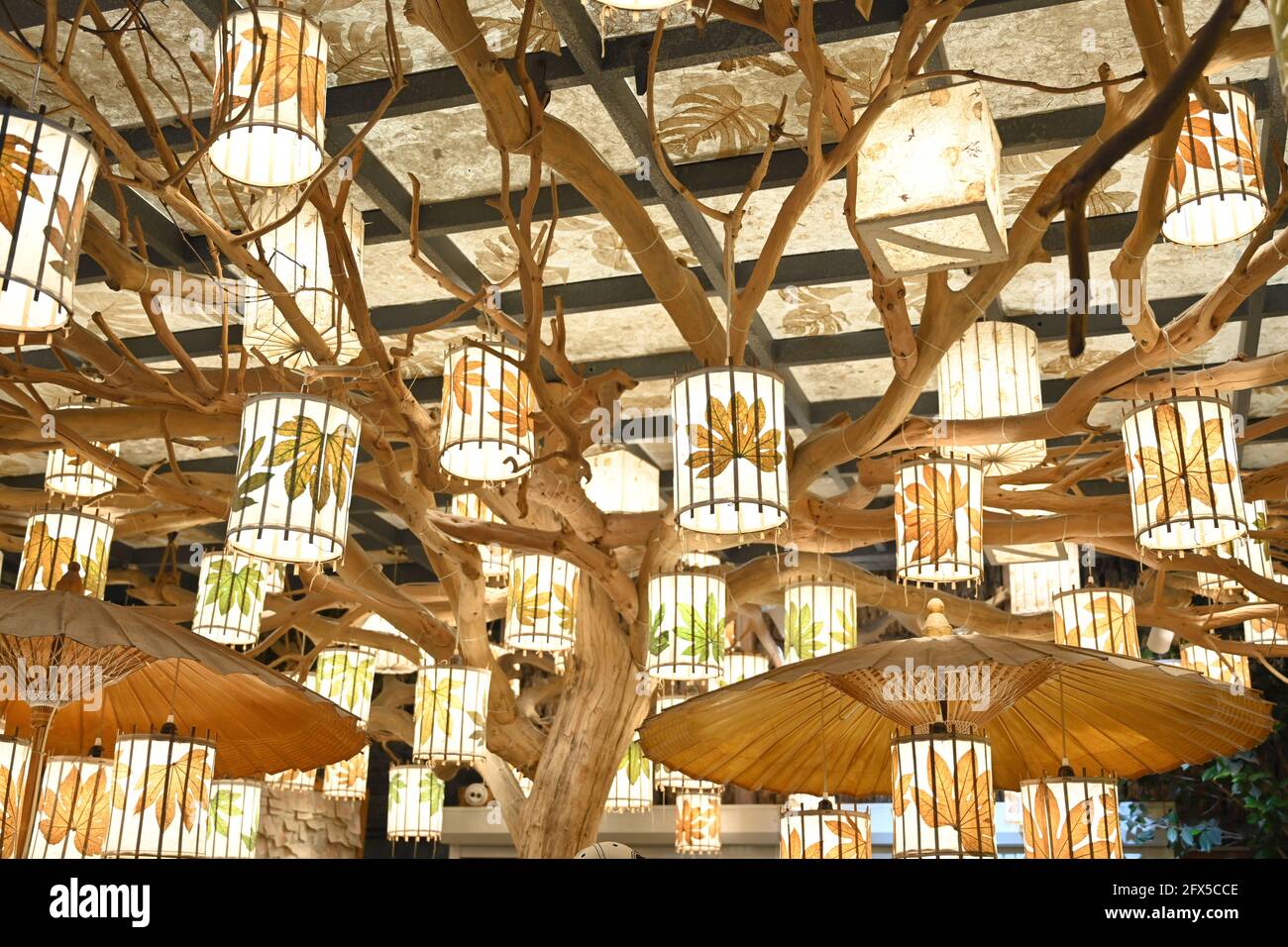 CHONGQING, CHINA - MAY 20, 2021 - Various kinds of paper lanterns are ...