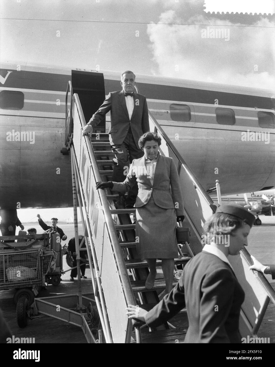 Scheele leave hi-res stock photography and images - Alamy