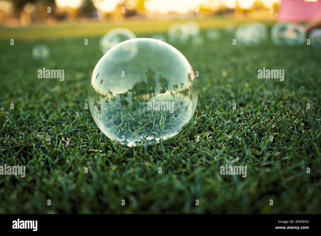 Bubbles in the grass Stock Photo - Alamy