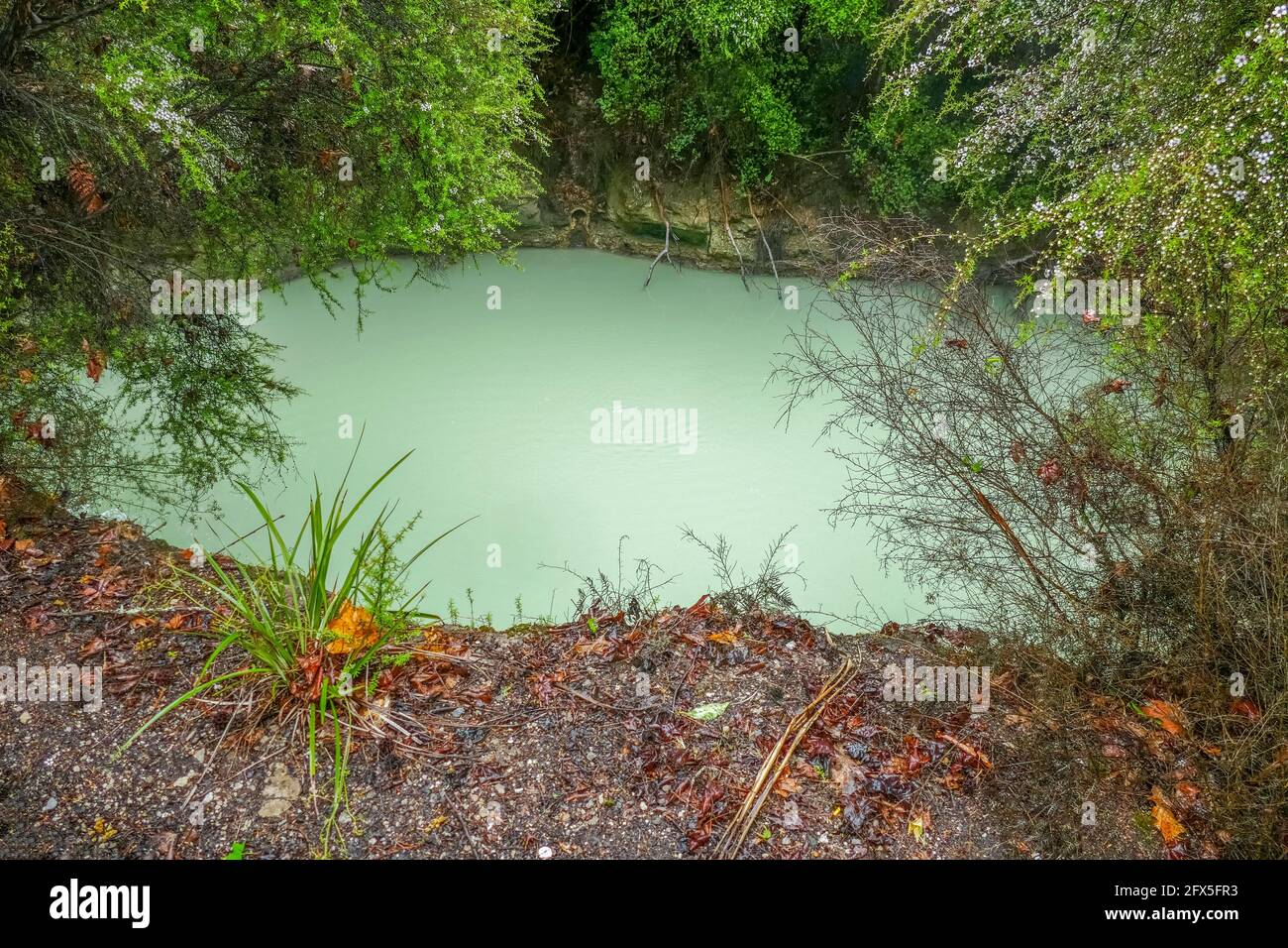Thermal water small pond hi-res stock photography and images - Alamy