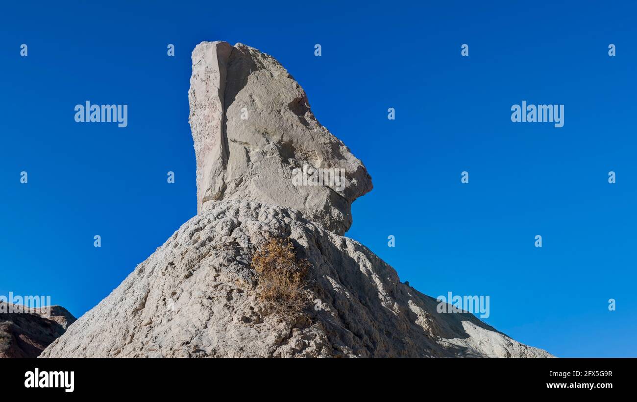 Human head formation hi-res stock photography and images - Alamy