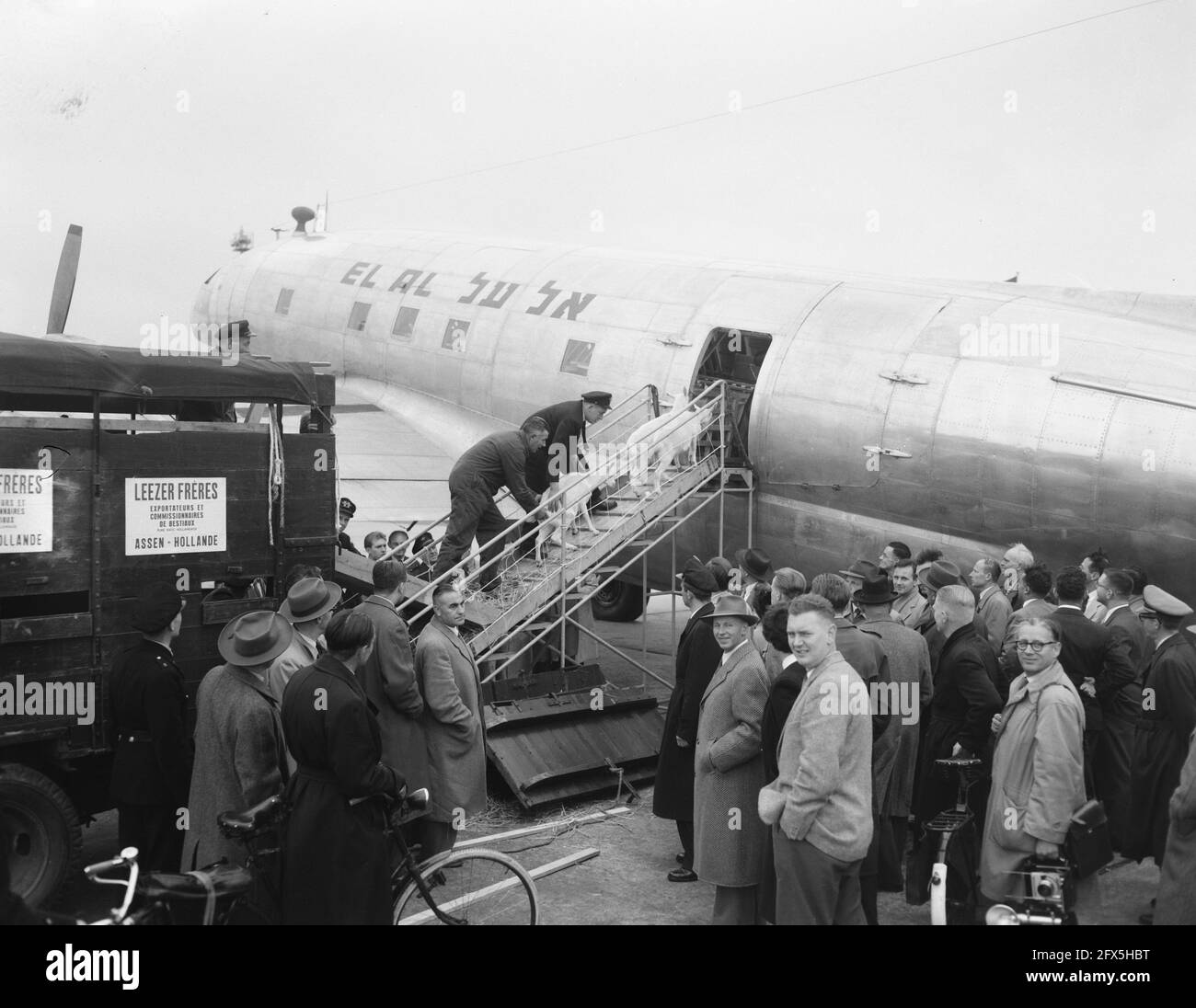 Goats by plane for the young state of Israel, October 13, 1954, GOATS ...
