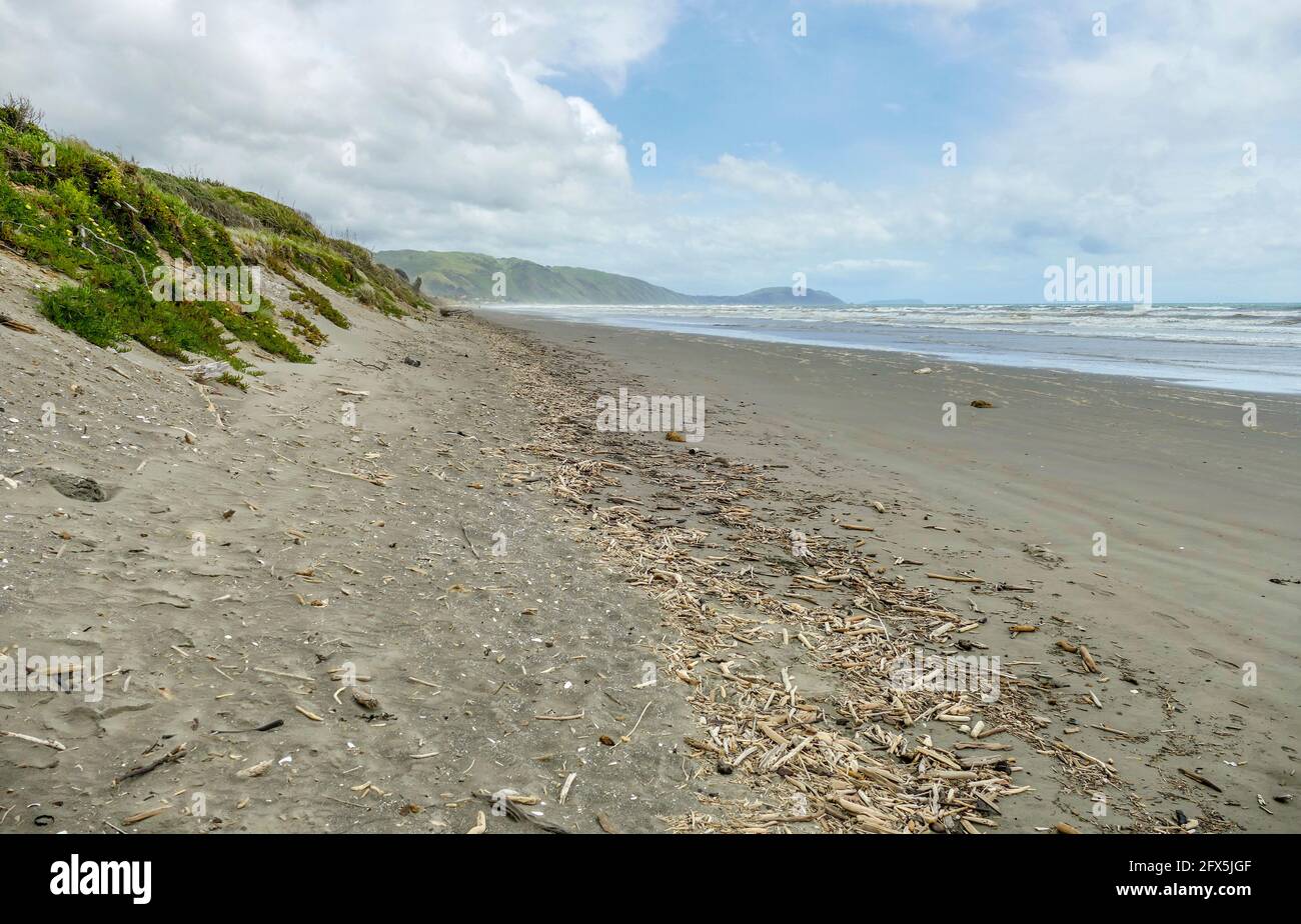 Scenery at the Whareroa beach at Queen Elizabeth park in New Zealand ...