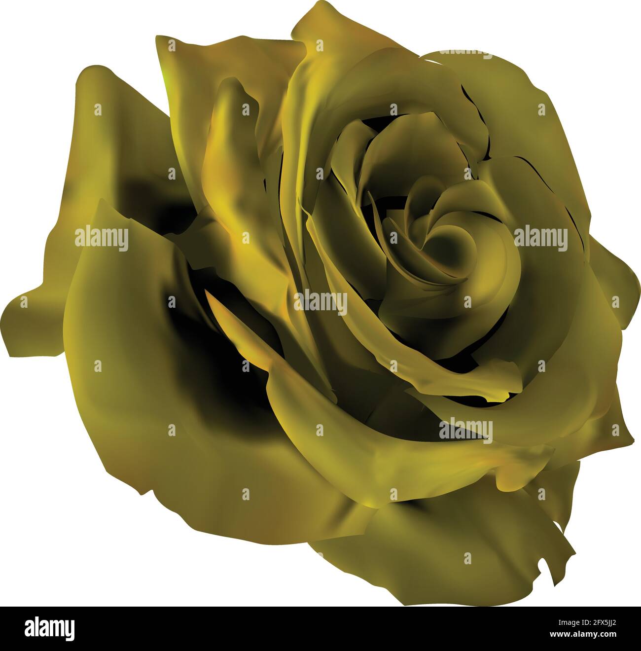 Yellow white rose Stock Vector Images - Alamy