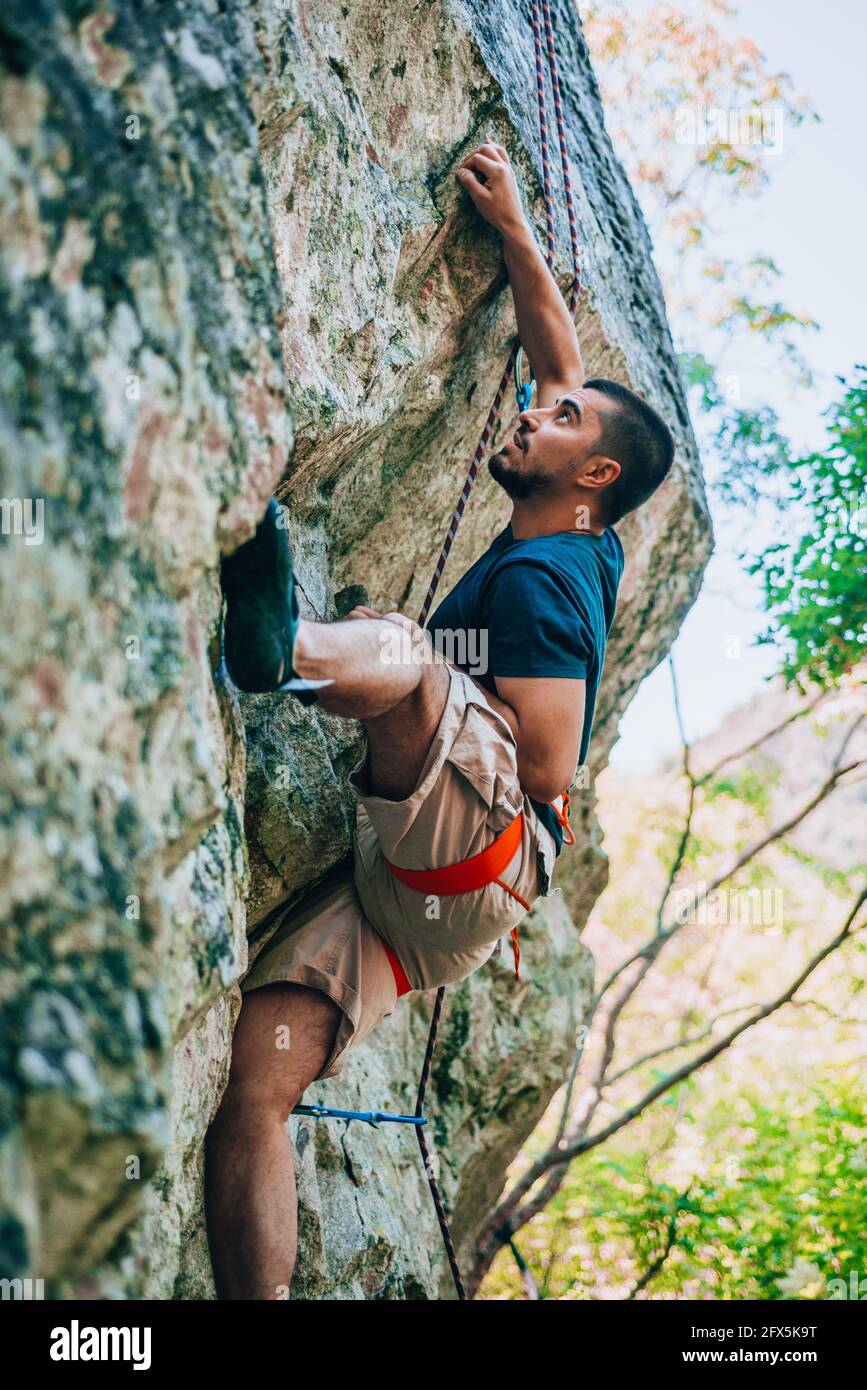 Strong happy male climber practicing climbing on rock wall Stock Photo ...