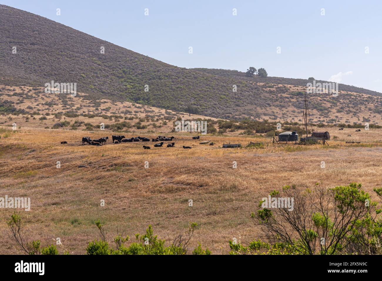 Cattle ranch water tank hi-res stock photography and images - Alamy