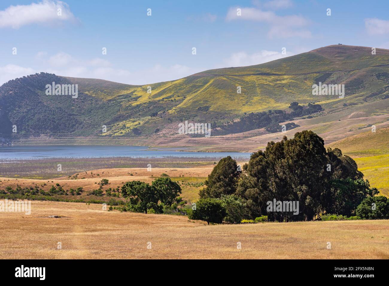Santa Maria, CA, USA - May 21, 2021: Brown dried ranch land and green ...