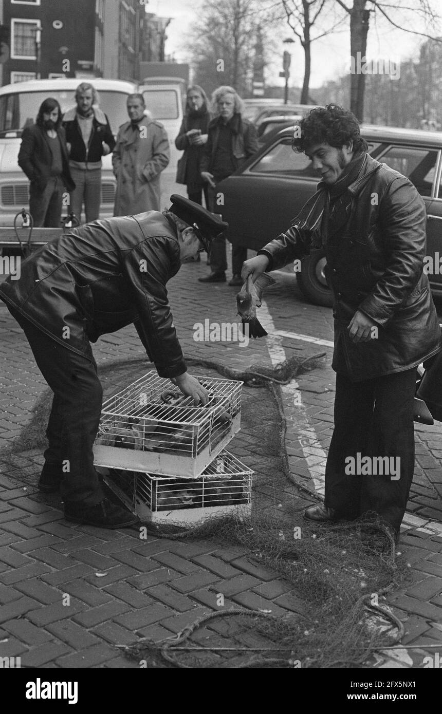 Trapped pigeons hi-res stock photography and images - Alamy