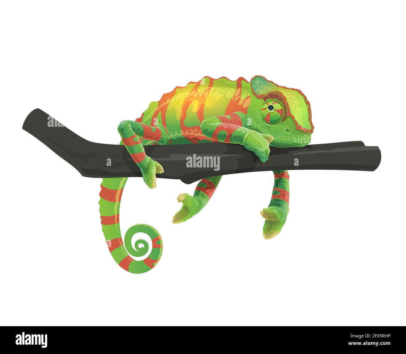 Pet Chameleon Changing Colors