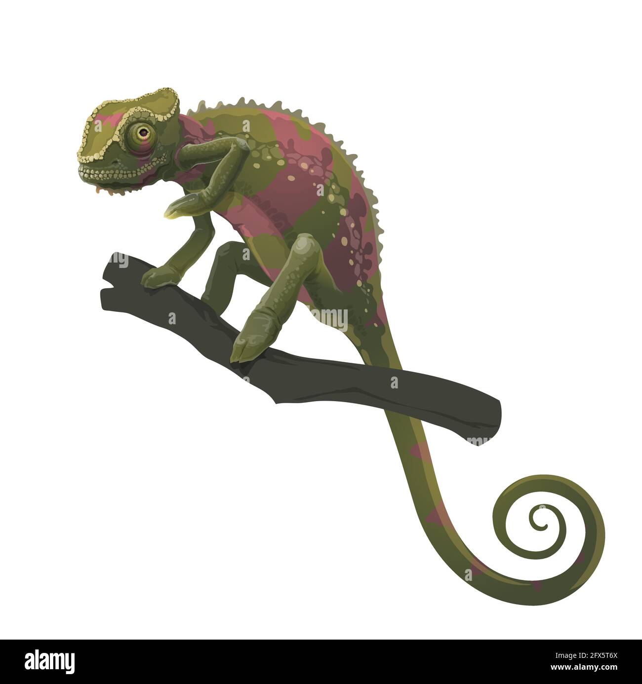 Chameleon lizard climbing on tree branch. Vector zoo animal, Africa ...