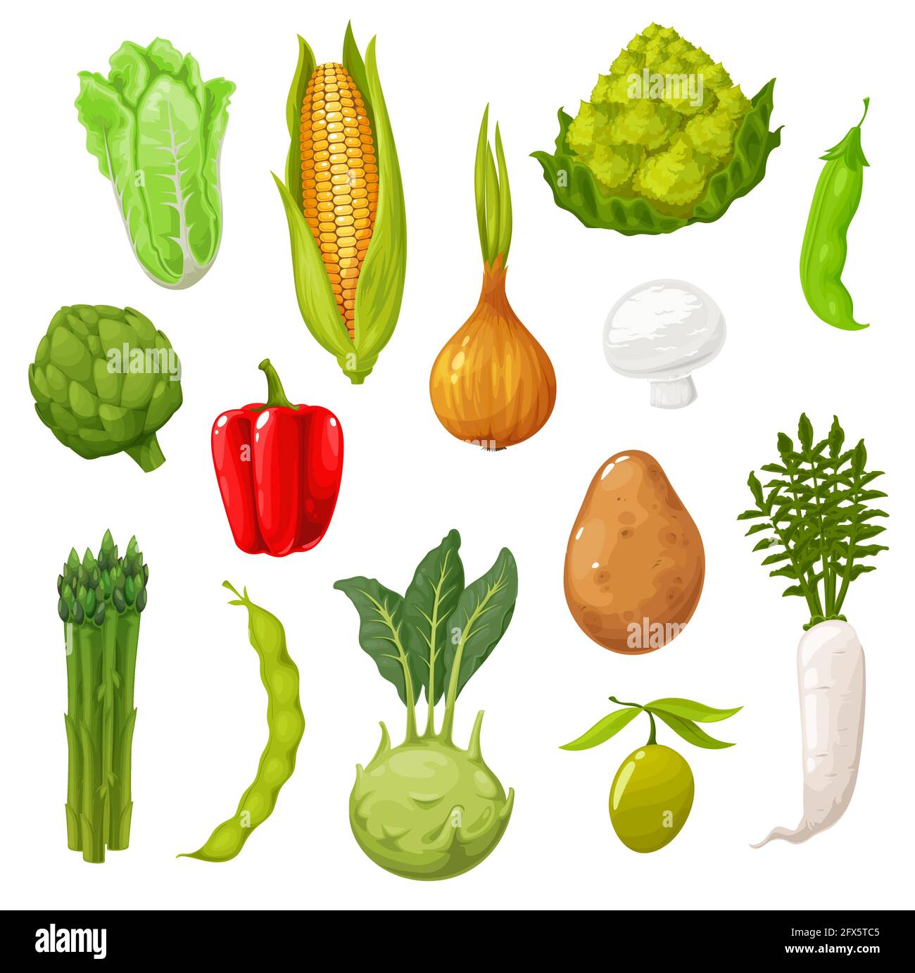 Cartoon vegetables, farm harvest or farmer market veggies. Vector ...