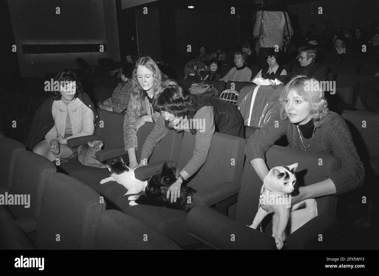 Free film screening Black and White Stock Photos & Images - Alamy